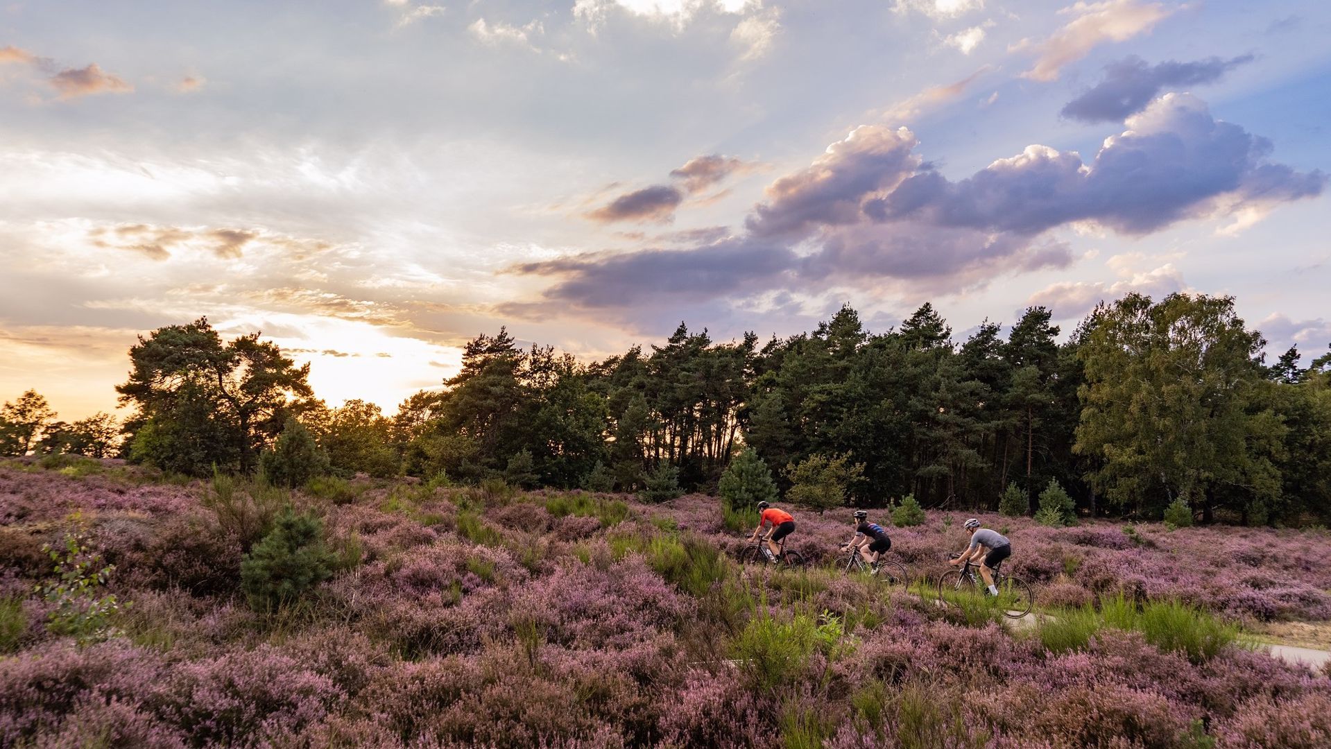 Fietssport - Ontdek - Veluwe
